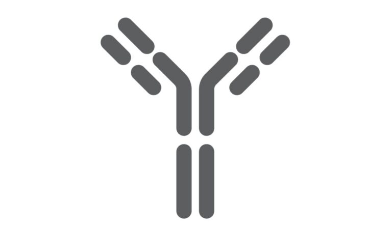 Resources AlivaMab Discovery Services Superior Antibody Therapeutics