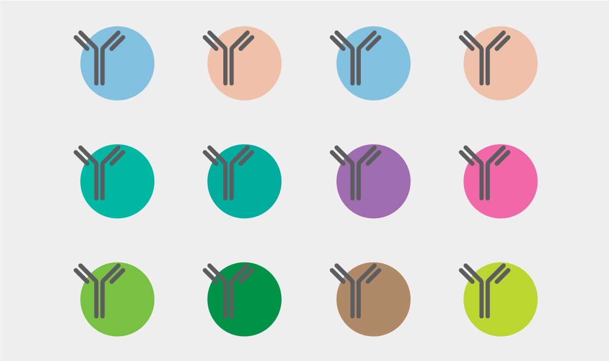 Resources AlivaMab Biologics Superior Antibody Therapeutics