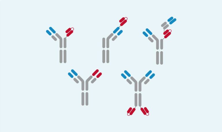 Resources AlivaMab Biologics Superior Antibody Therapeutics