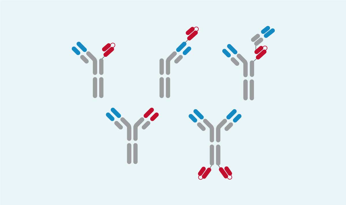 Ablexis and AlivaMab Discovery Services Announce Agreements with ...